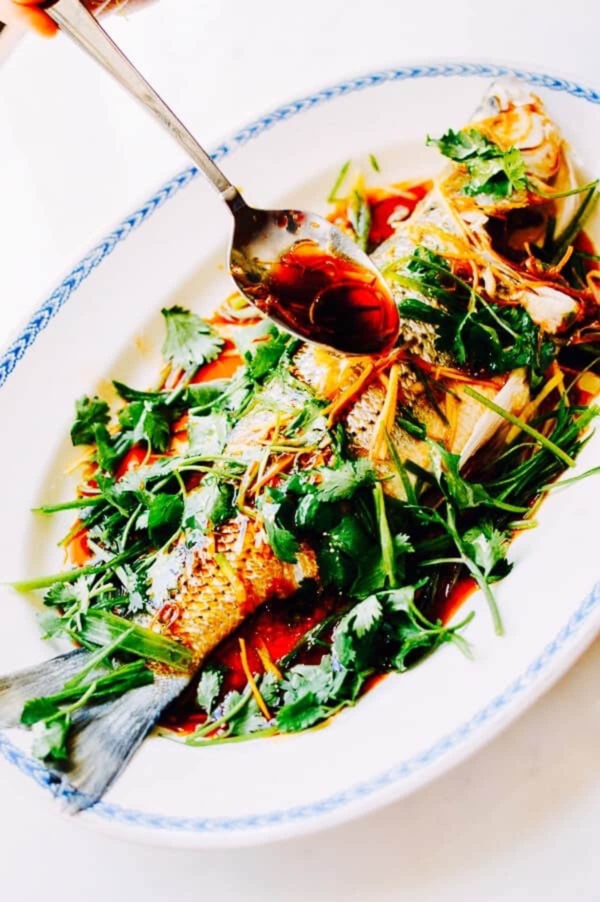 The Hirshon Cantonese Steamed Fish - 粤式蒸鱼 - The Food Dictator