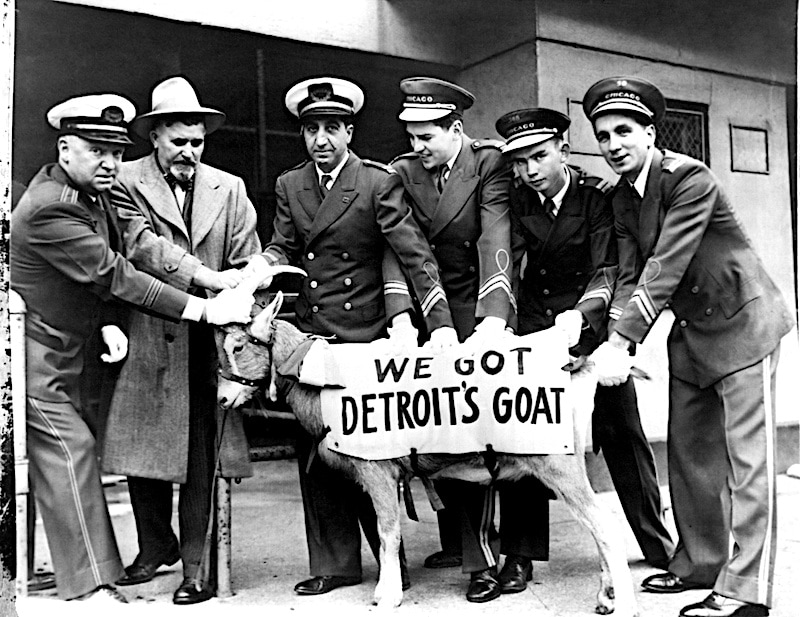 The Hirshon Fijian Goat Curry And Coconut Chutney - The Food Dictator