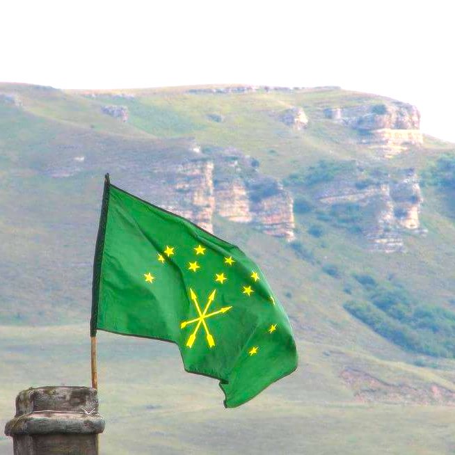 The Hirshon Jordanian Circassian Chicken And Pasta - شيبس وباسطة And ...